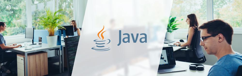 DCCS - Maßgeschneiderte Java-Lösungen mit hoher Usability